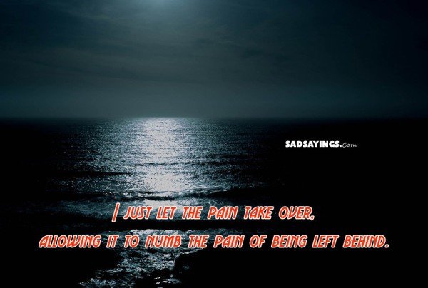 I just let the pain take over allowing it to numb the pain of being ...